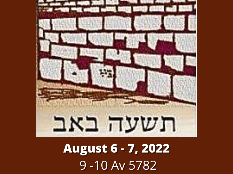 The Emanuel Synagogue